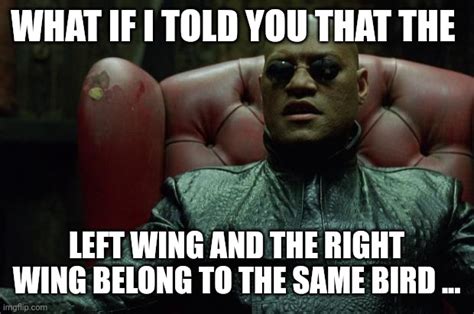 Morpheus Politics Imgflip