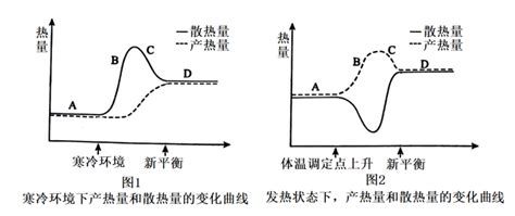 人体通过调控产热和散热的相对量来实现对体温的调节，图1曲线直观展示了寒冷条件下产热量与散热量的动态变化；图2曲线则展示了人体发热情况下产热量与散热量的动态变化。 组卷网