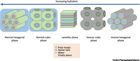 Bringing Lipidic Lyotropic Liquid Crystal Technology Into Biomedicine