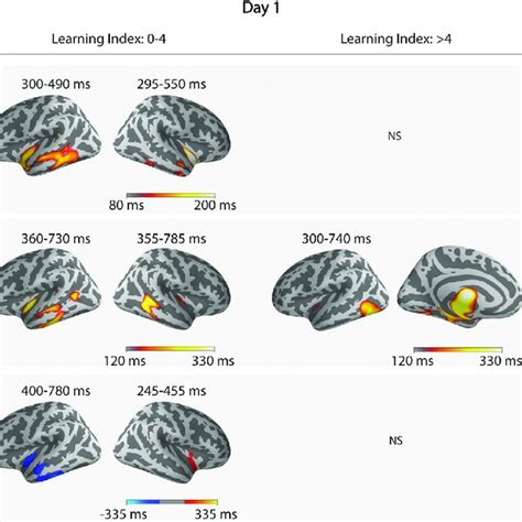 comparison of cortical activity following the different learning cues download scientific