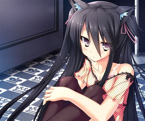Anime Girl Cute Anime Girl Anime Photo 27533489 Fanpop Fanclubs Anime Girl Neko Anime