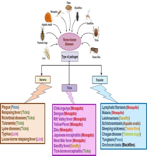 Classification Of Vector Borne Diseases VBDs According To Pathogen