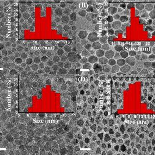 TEM Images And Their Corresponding Size Distribution Histograms Of
