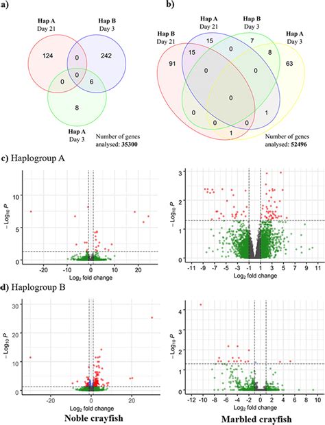 Results Of The Differential Gene Expression Analysis A Venn Diagram