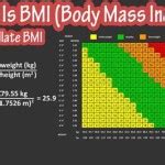 How To Calculate Your Bmi Equation Tessshebaylo
