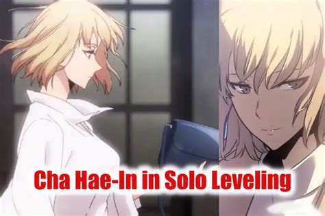 Who Is Cha Hae In Power And All Abilities Solo Leveling Otakusnotes