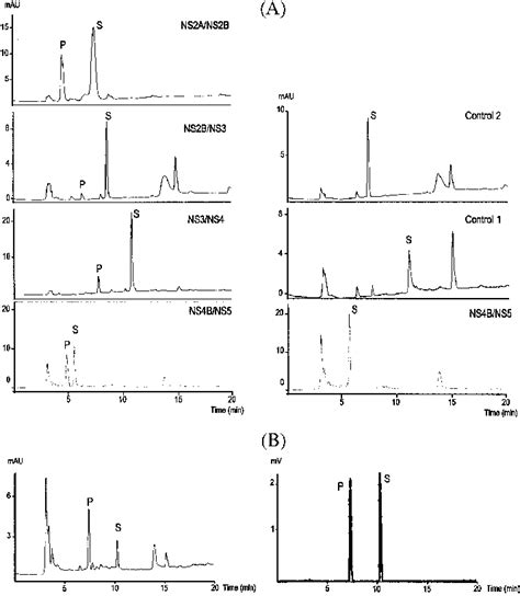 reversed phase hplc analysis of dansylated peptide substrates that are download scientific