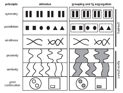 5 Principles Of Visual Perception Principles Of Data Visualization