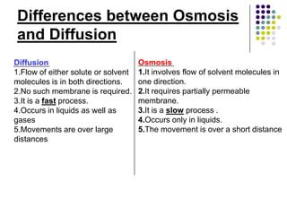 Chapter 3 Movement Of Substances Lesson 3 Active Transport And The
