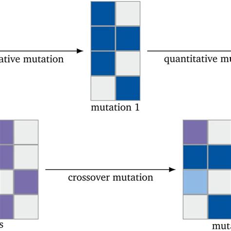 schematic representation of the directed evolution algorithm download scientific diagram