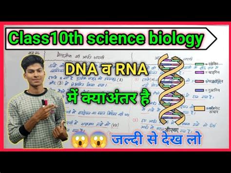 DNA और RNA म अतर Differences between DNA and RNA dna aur rna mein