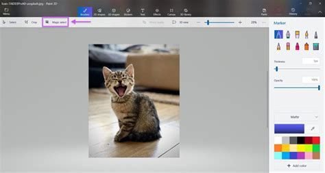How To Remove Background Paint In 3 Different Amazing Software With Steps