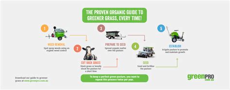 The Proven Organic Guide To Greener Grass Every Time Greenpro