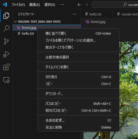 ラズパイbookworm対応、vscodeのssh接続でpcからラズパイにファイルを転送する yaulのブログ