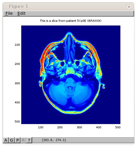 octave matlab
