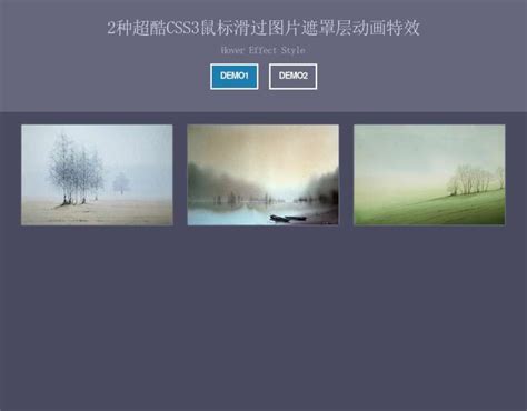纯css3鼠标滑过图片文字遮罩动画特效