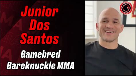 Junior Dos Santos Says Renan Ferreira Will Finish Francis Ngannou He