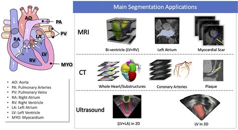 frontiers deep learning for cardiac image segmentation a review