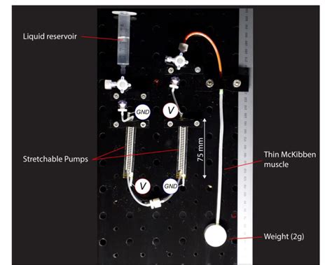Figure 5 From Electrically Driven Soft Fluidic Actuators Combining