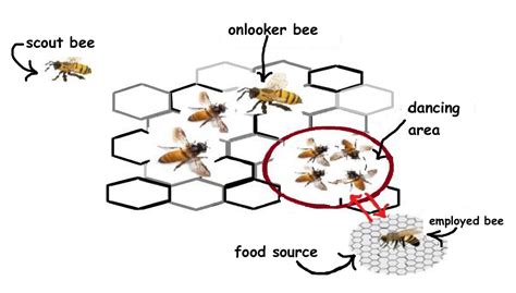 artificial bee colony baeldung on computer science