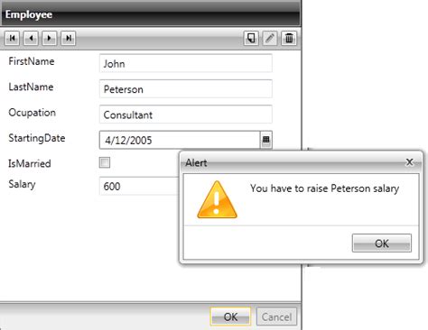 wpf dataform property level validation telerik ui for wpf