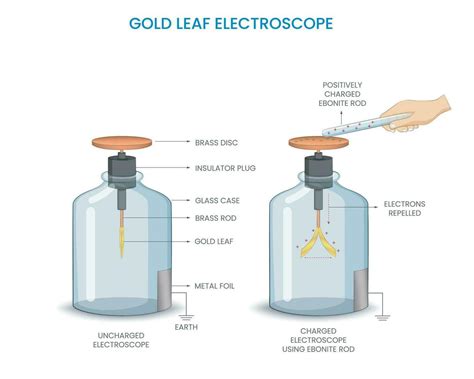 Gold Leaf Electroscope Was Detects Electric Charge Via Leaf Divergence