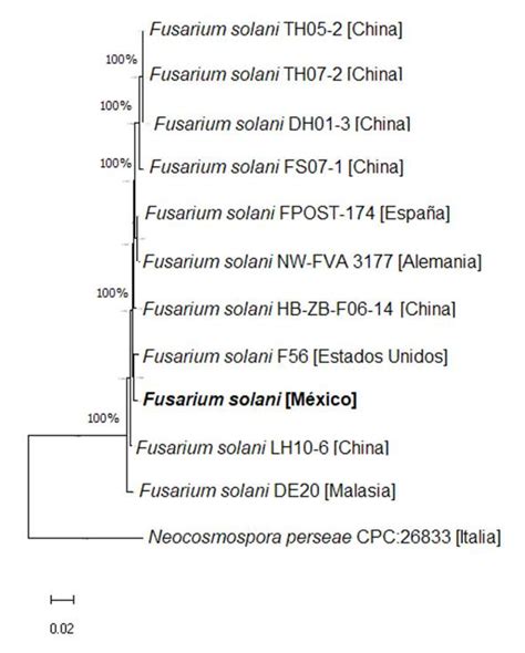 Biodegradable Films With Fungistatic Activity For The Postharvest