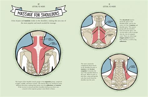 Simple Massage Techniques With Illustrations For Beginners