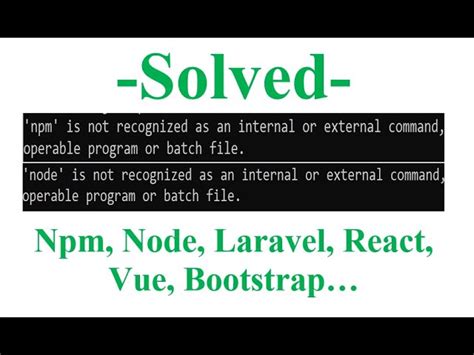 Ng Command Not Found Troubleshooting The Ng Is Not Recognized As An