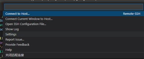vscode连接服务器 csdn博客