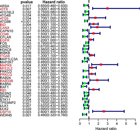 frontiers development and validation of autophagy related gene signature and nomogram for