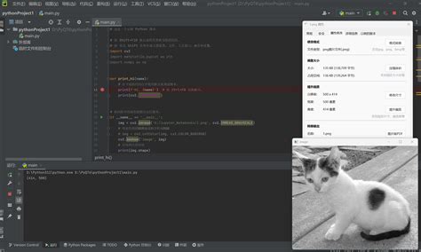opencv 基础图像处理操作 opencv简单图像处理 csdn博客