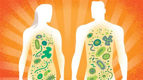 Unlocking The Secrets Of The Microbiome The New York Times