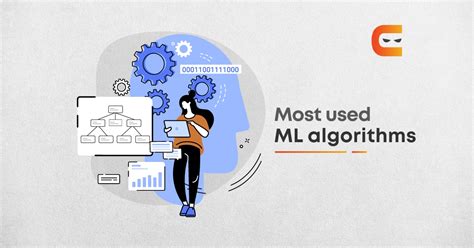 top 12 most used machine learning algorithms coding ninjas