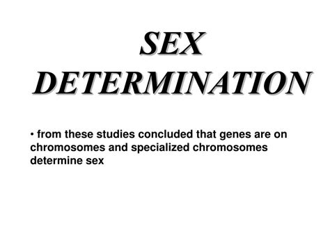 Ppt Sex Determination Powerpoint Presentation Free Download Id6389287