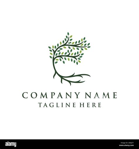 Tree And Roots Logo Design Vector Isolated Abstract Tree Logo Design