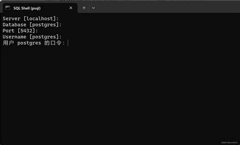 mimic iii数据库申请完后如何使用（将数据导入postgressql，通过pgadmin4查看、管理及导出数据） pgadmin导出数据 csdn博客