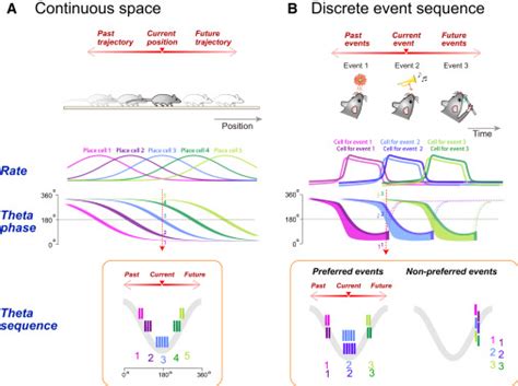 temporal and rate coding for discrete event sequences in the hippocampus neuron