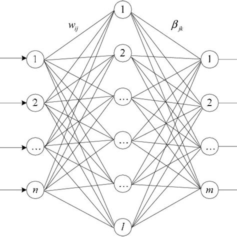 structure of the single hidden layer feed forward neural network take download scientific