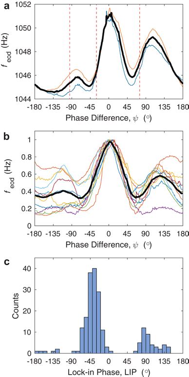 comparison of phase response curves and the distribution of lips a download scientific diagram