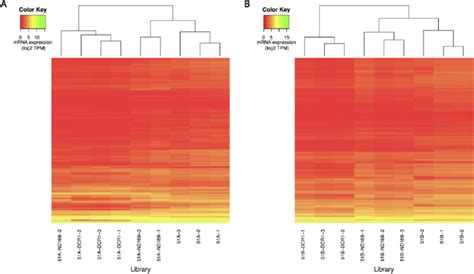 heatmap of mrna expression after hierarchical clustering euclidean sexiz pix