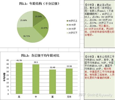 高阶HR必备公司员工结构分析超全 ppt 知乎