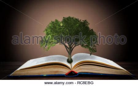 The Concept Of A Book Or A Tree Of Knowledge With An Oak Tree Growing