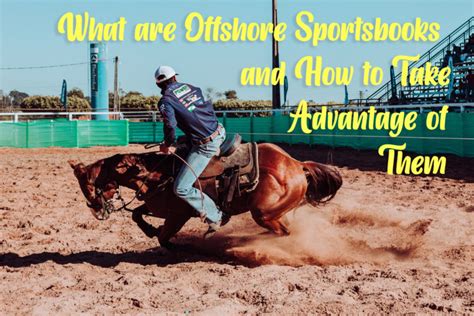 What Are Offshore Sportsbooks And How To Take Advantage Of Them