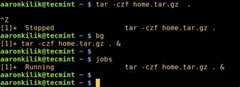 Run Linux Commands In Background And Detach From Terminal