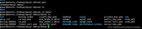 如何保证云docker容器重启后数据不丢失 docker mysql容器重启 数据还在吗 csdn博客