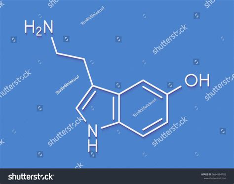 Serotonin Neurotransmitter Molecule Skeletal Formula Stock Illustration