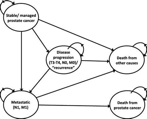 schematic diagram of the markov model download scientific diagram
