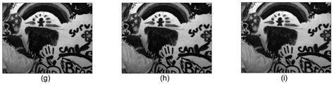 mathematics free full text total fractional order variation based constraint image