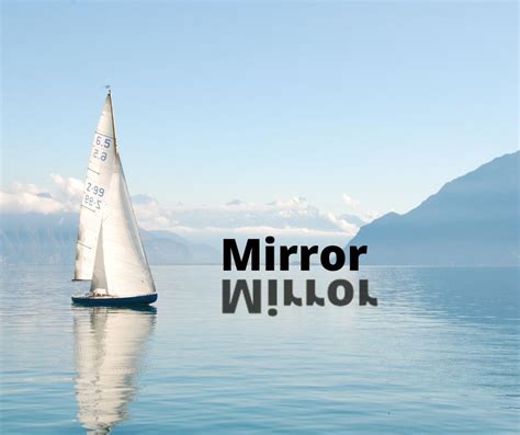 Canva Mirror Effect How To Get Mirror Effect On Canva Images And Texts